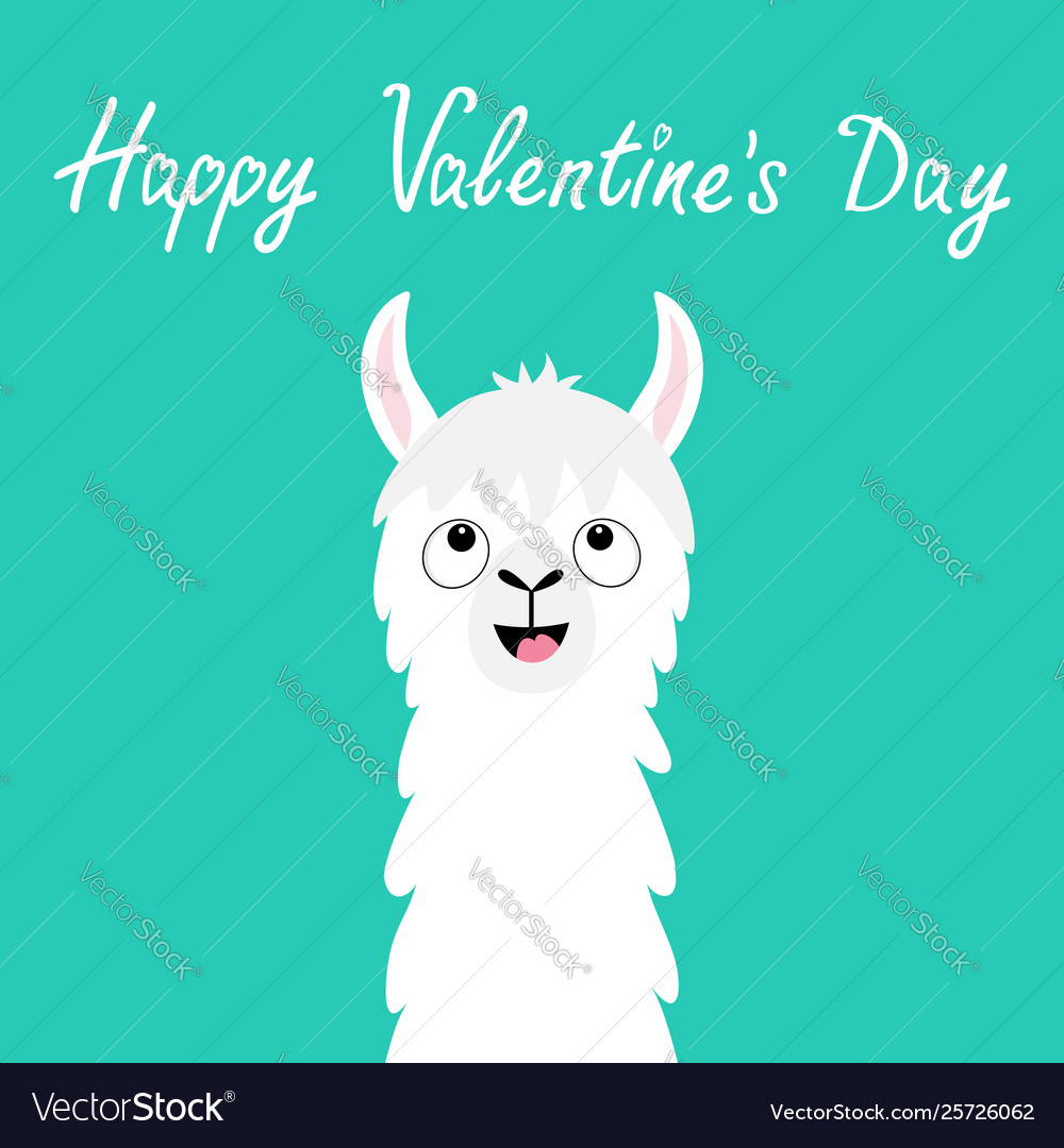 Happy valentines day llama alpaca animal face Vector Image