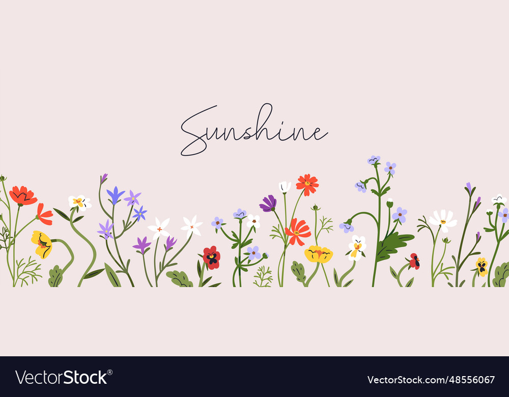 Spring flowers banner design floral background Vector Image