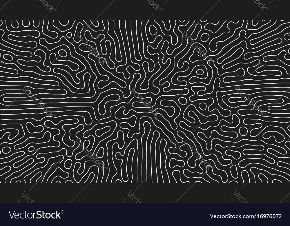 Complicated thin lines pattern psychedelic crazy Vector Image