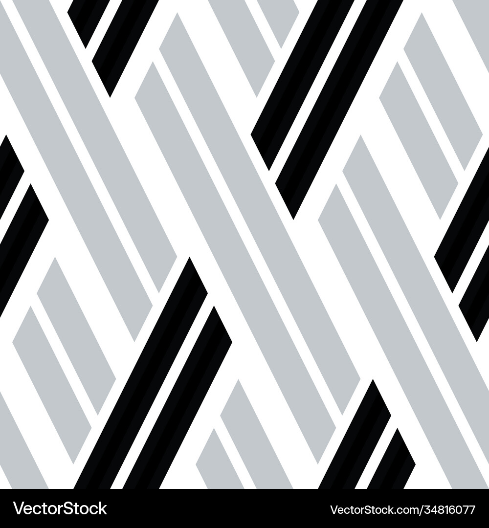 Modern pattern with black and silver gray lines Vector Image