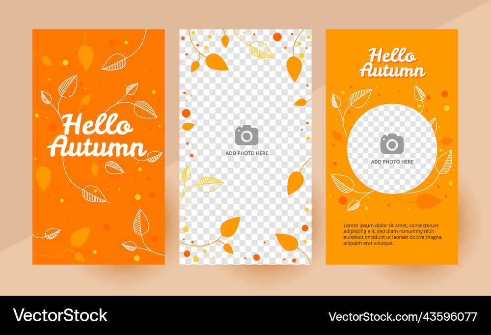 Social media hello autumn template design layout Vector Image