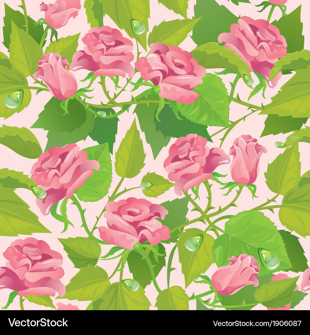 Floral seamless pattern with blooming pink roses Vector Image