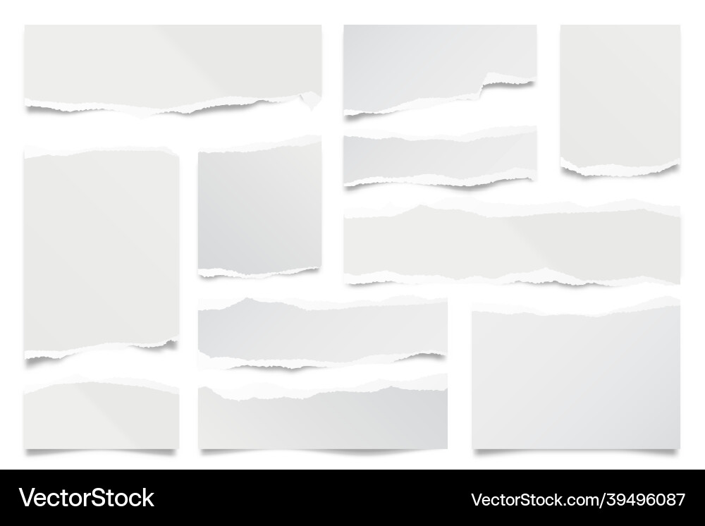 Ripped paper strips isolated on white background Vector Image