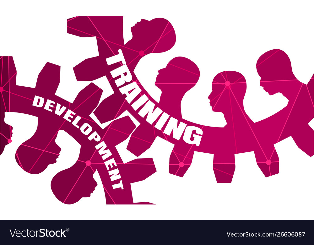 Training and development connection Royalty Free Vector