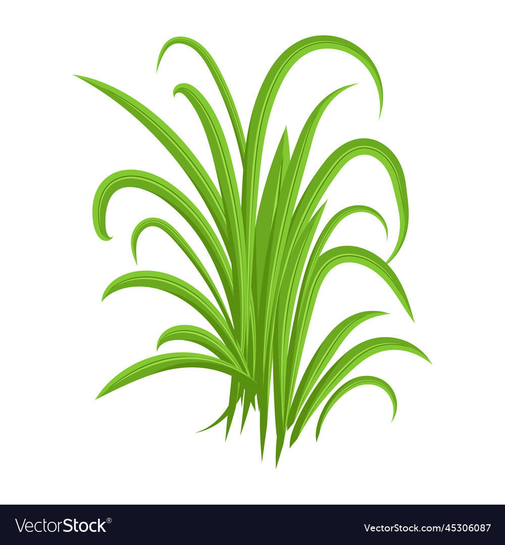 Turf Royalty Free Vector Image - VectorStock