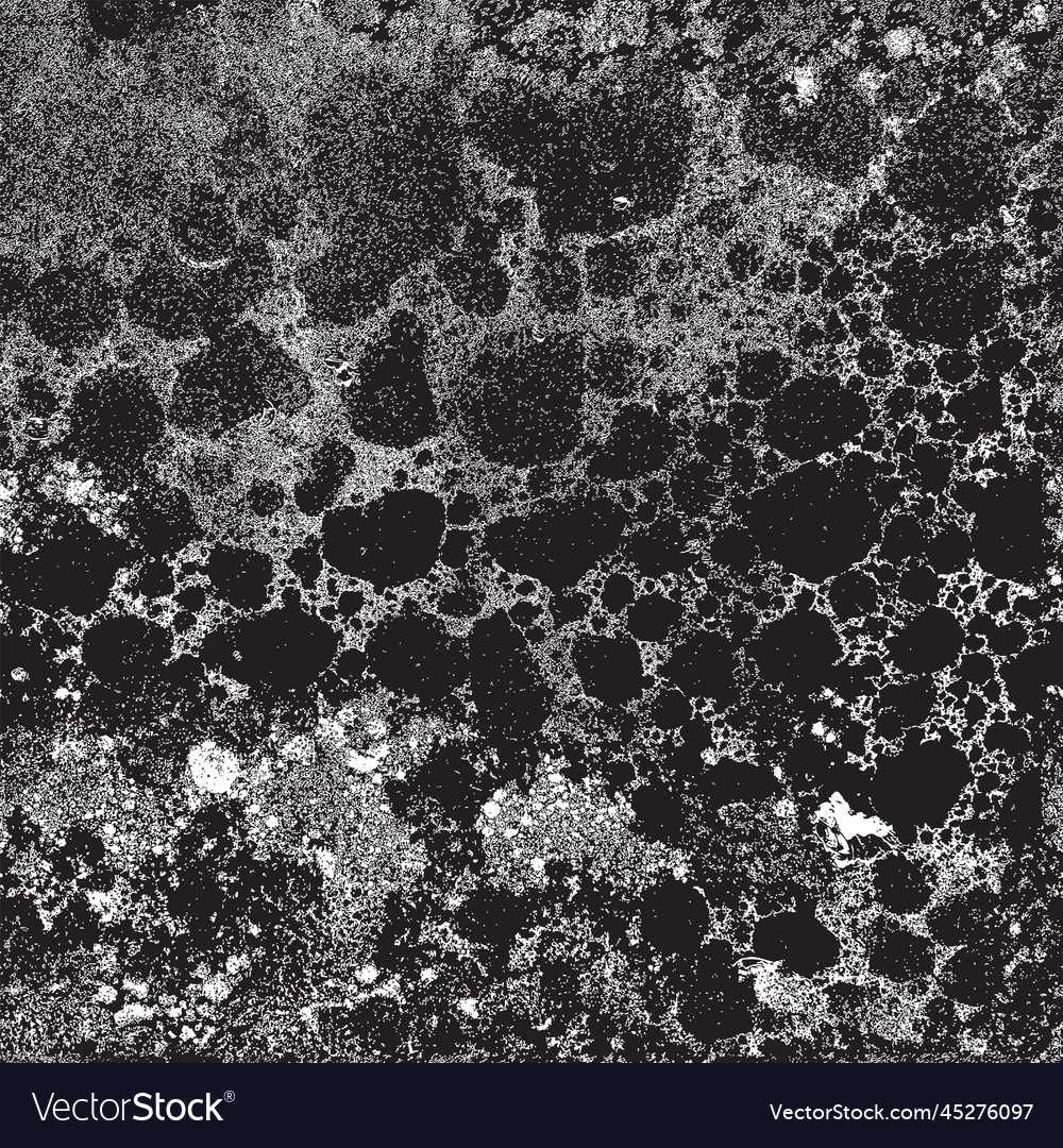 Abstract seamless pattern rust grunge texture Vector Image