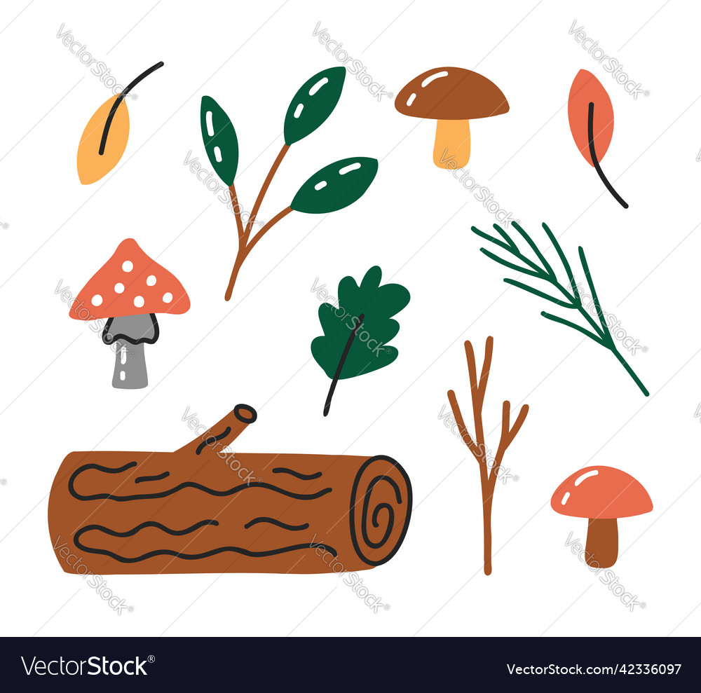Forest elements Royalty Free Vector Image - VectorStock
