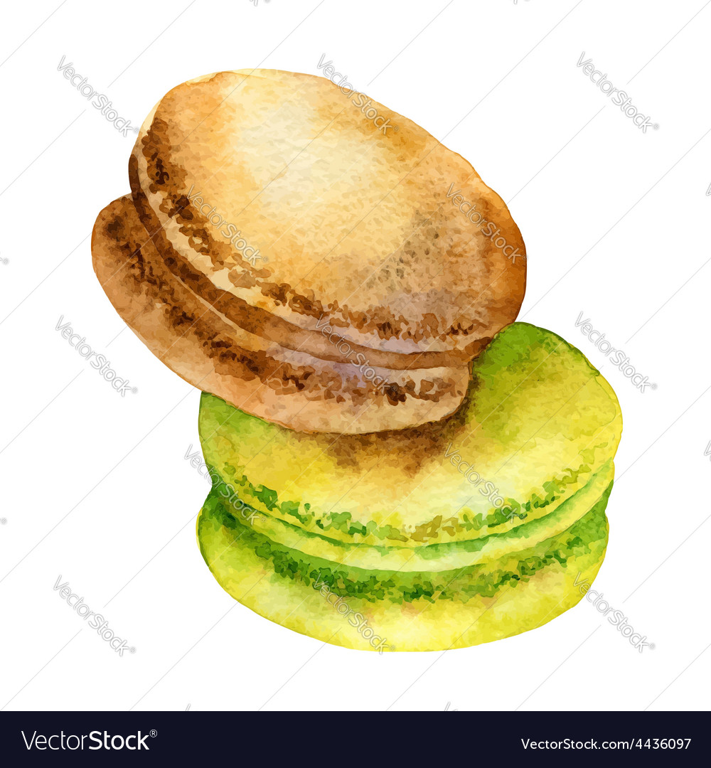 Macaroons Royalty Free Vector Image - VectorStock