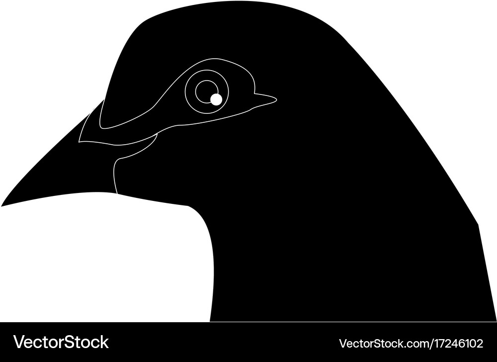Bird pigeon head animal peace icon Royalty Free Vector Image