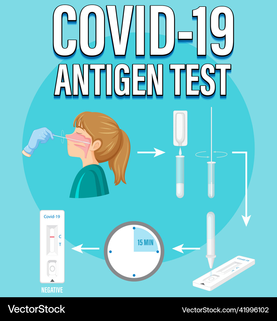 Covid19 testing with antigen test kit Royalty Free Vector