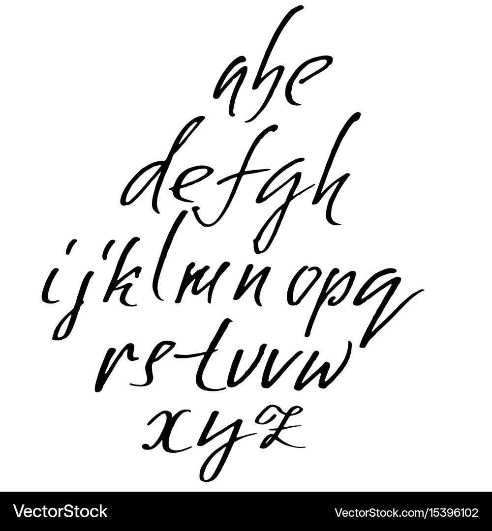 Hand drawn elegant calligraphy font modern brush Vector Image