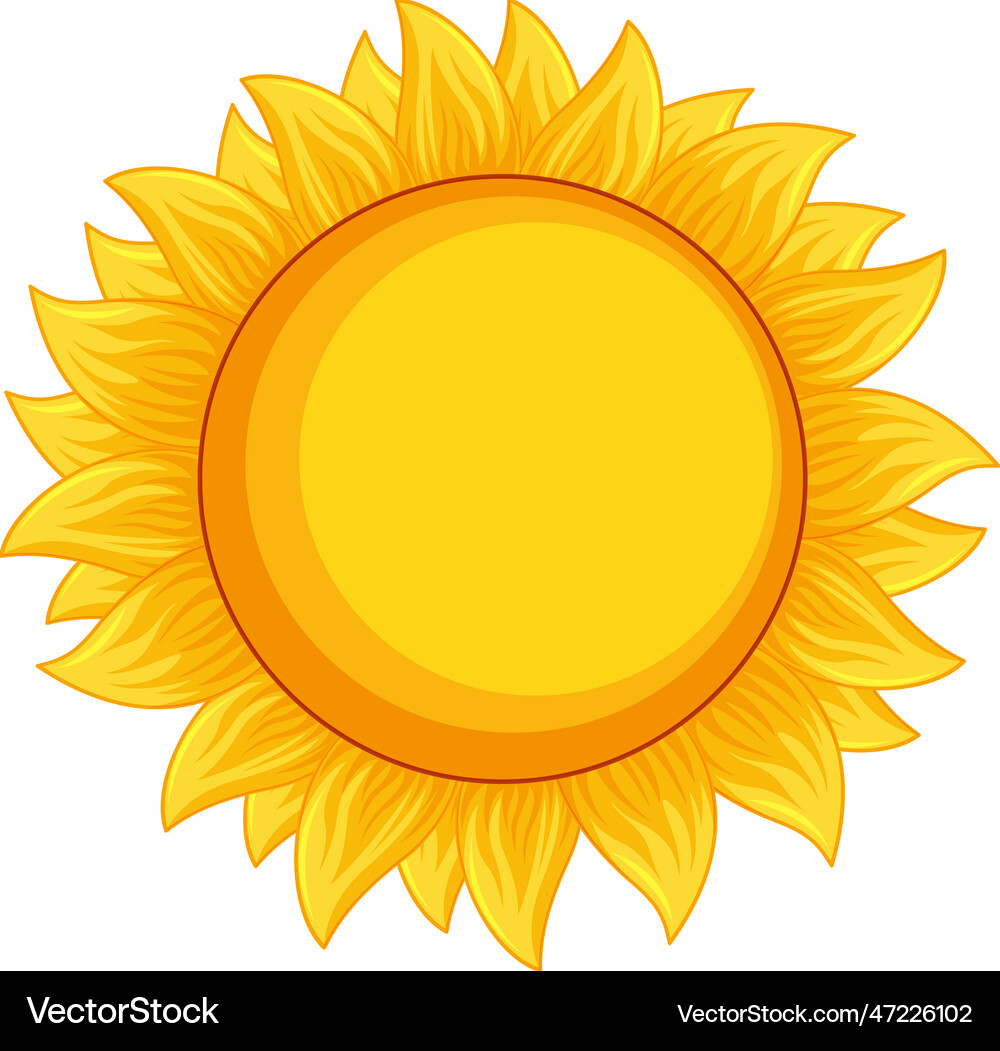 Sunflower flower cartoon isolated Royalty Free Vector Image