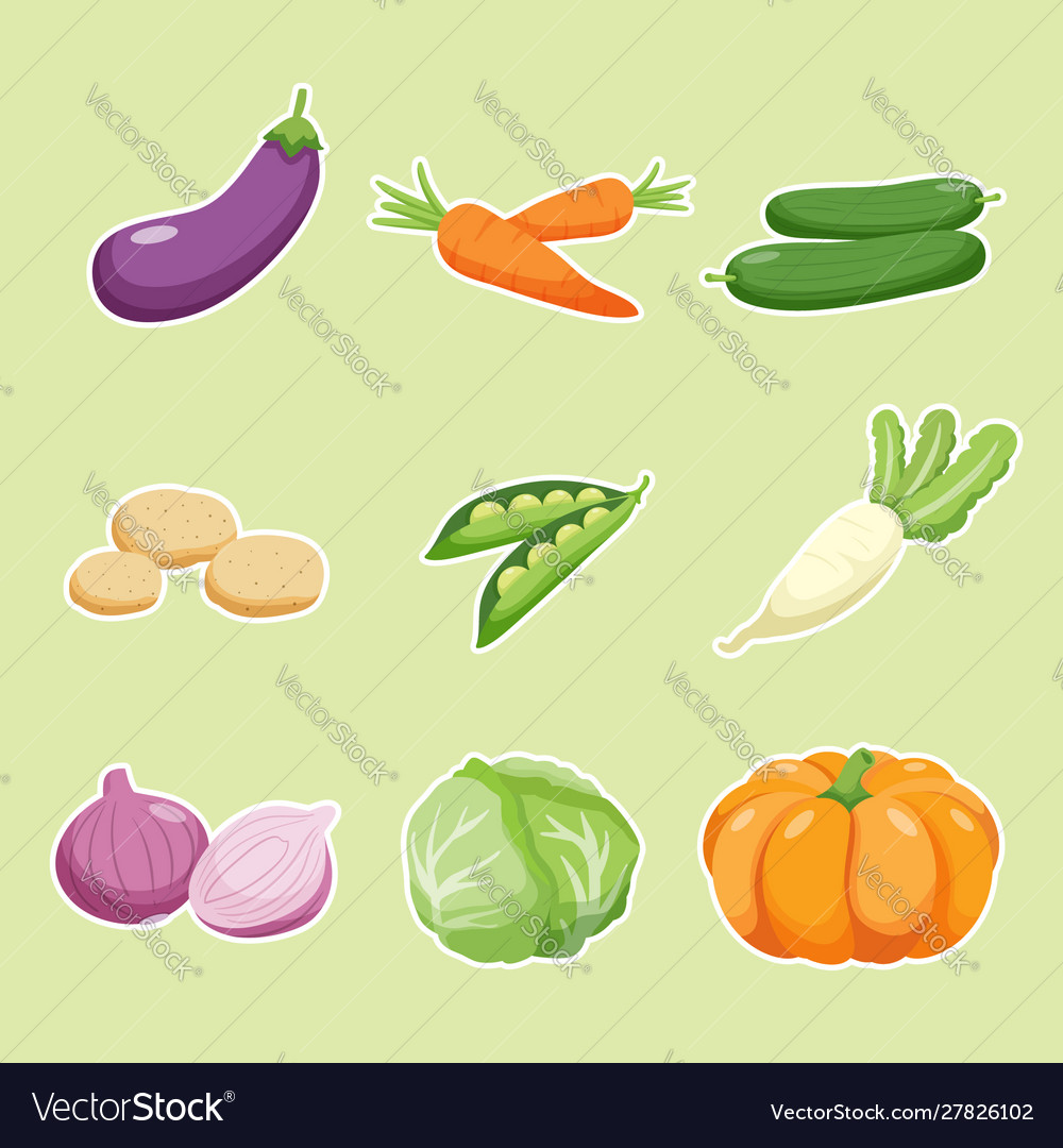 Vegetables collection Royalty Free Vector Image