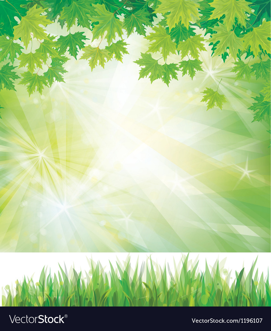 Spring Royalty Free Vector Image - VectorStock