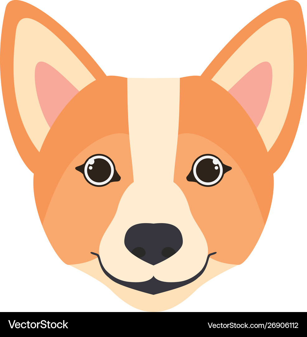 Head cute welsh corgi dog on white background Vector Image