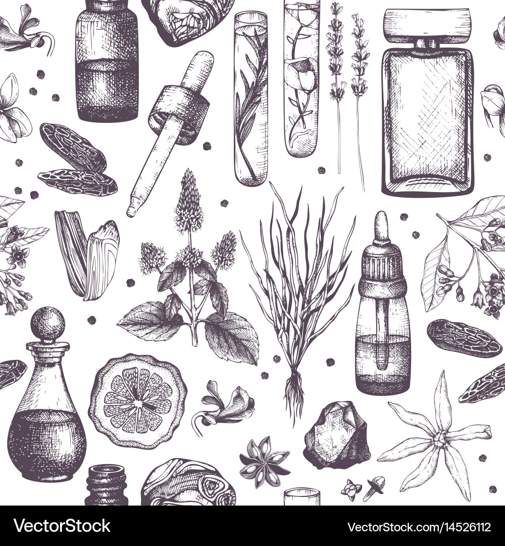 Organic and floral perfume ingredients background Vector Image