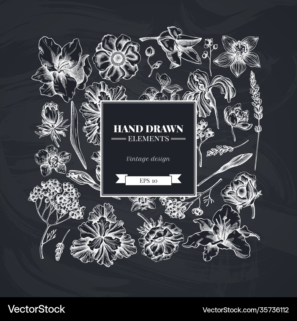 Square floral design with chalk anemone lavender Vector Image