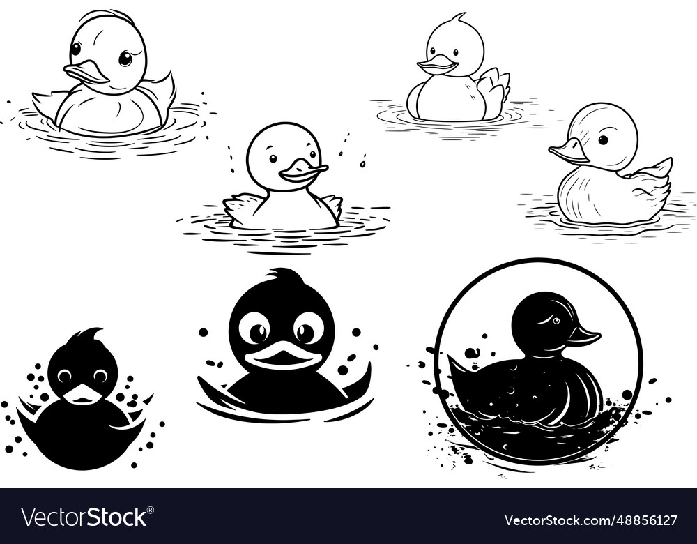 Ducks Royalty Free Vector Image - VectorStock