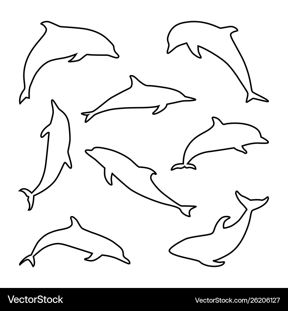 Set isolated dolphins in outline style Royalty Free Vector