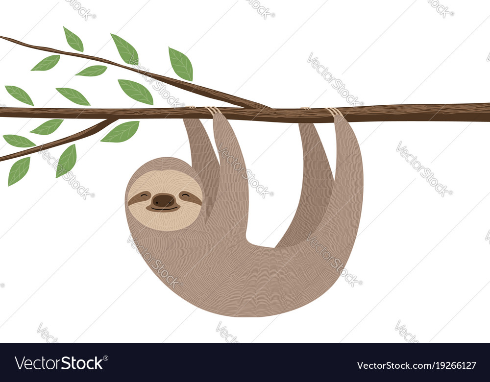 Sloth Royalty Free Vector Image - VectorStock Sloth Royalty Free Vector Image - VectorStock