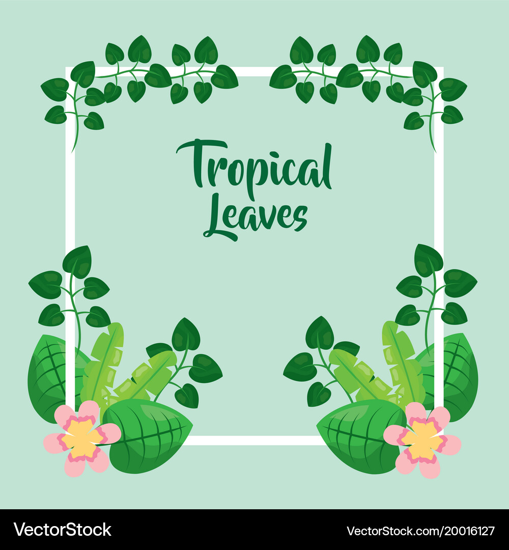 Tropical leaves frame decorative flowers exotic Vector Image