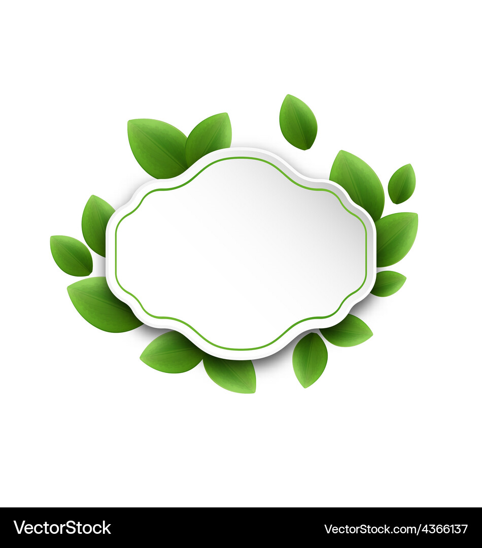 Abstract label with eco green leaves isolated Vector Image
