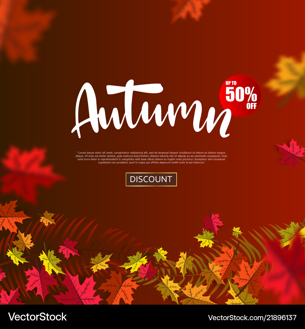 Autumn sale background layout falling leaves Vector Image