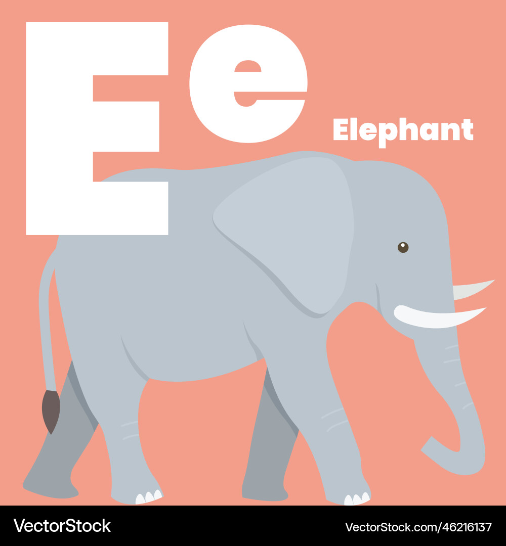 Cute children abc alphabet flashcard words Vector Image