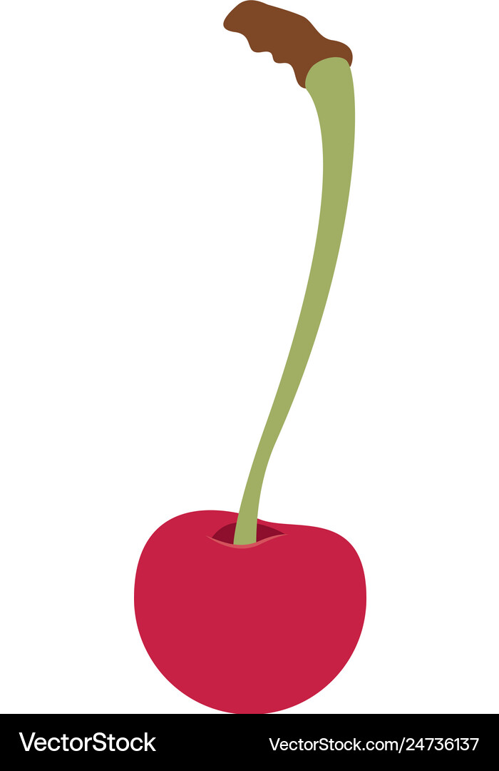 Fresh cherry healthy food Royalty Free Vector Image