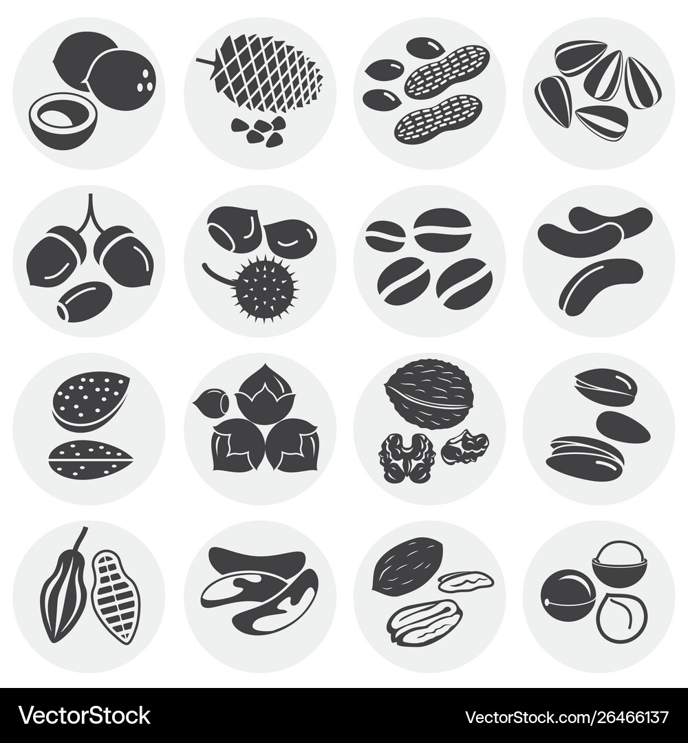 Nuts related icons set on background for graphic Vector Image