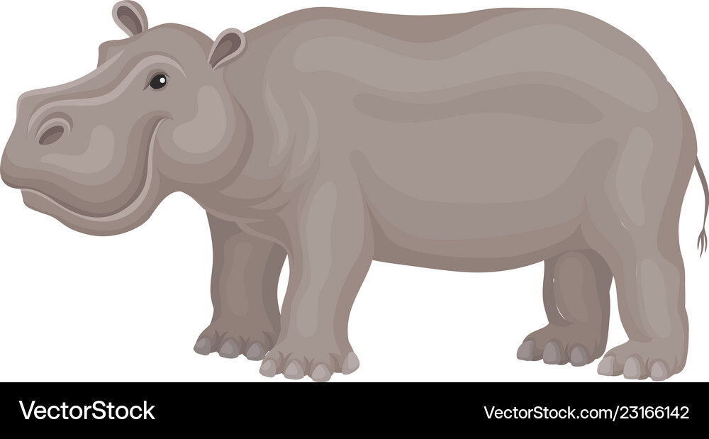 Cute gray hippo standing isolated on white Vector Image