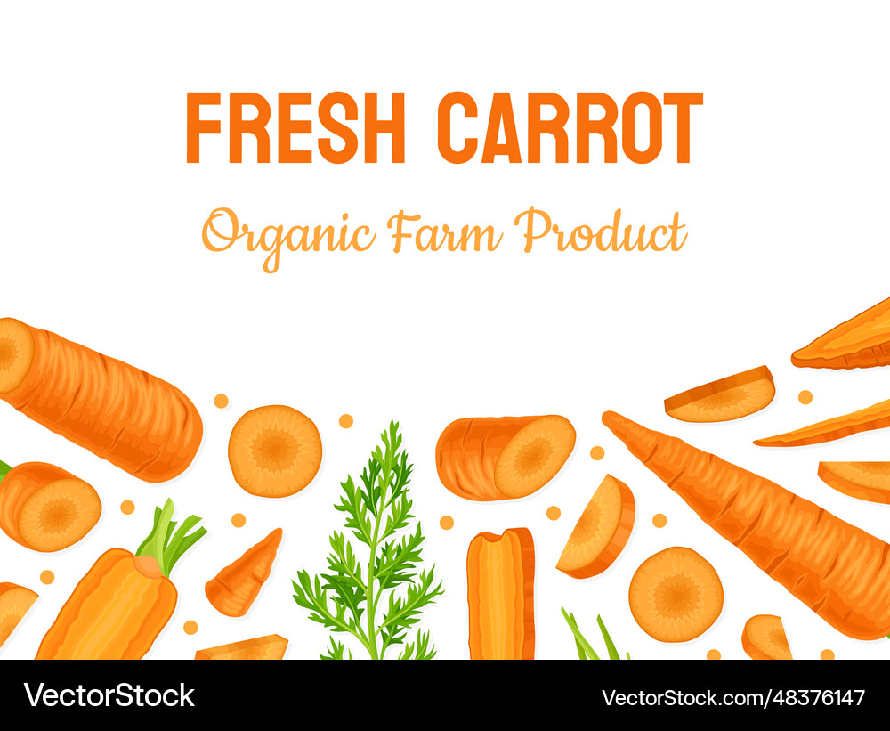Bright carrot vegetable and crop banner design Vector Image