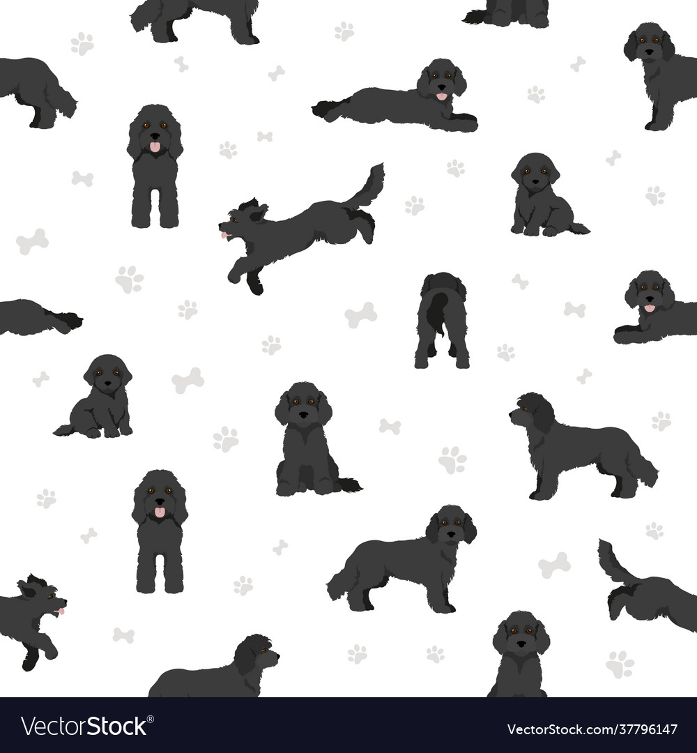 Cockapoo mix breed seamless pattern different Vector Image