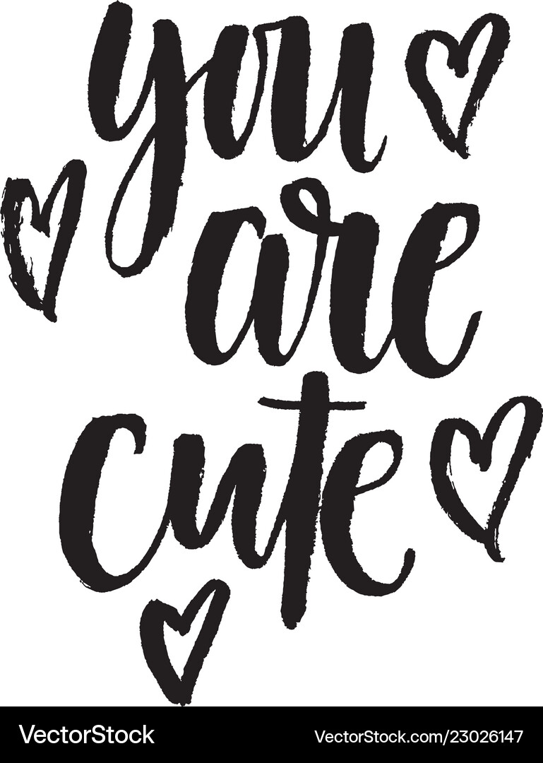 Inspirational hand drawn quote made with ink Vector Image