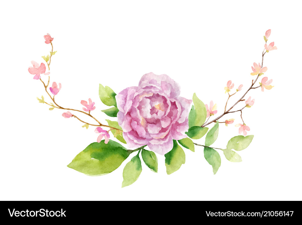 Watercolor hand painting Royalty Free Vector Image