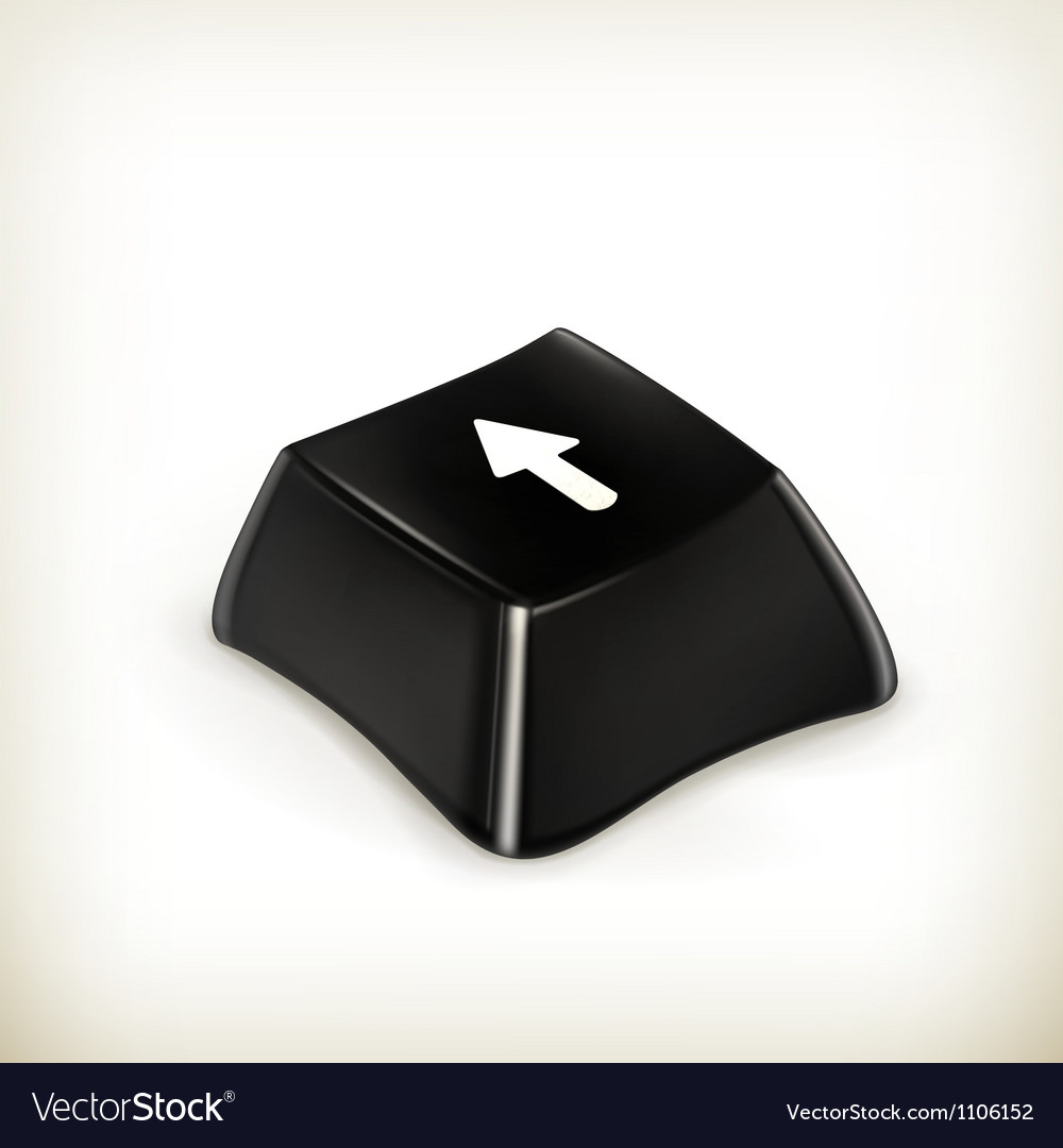 Black button Royalty Free Vector Image - VectorStock