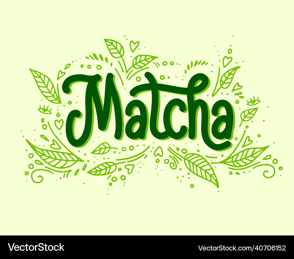 Matcha lettering design with green leaves tea Vector Image