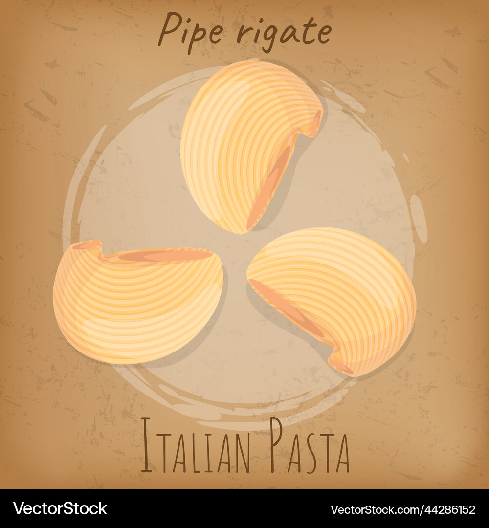 Pipe rigate pasta or macaroni italian national Vector Image