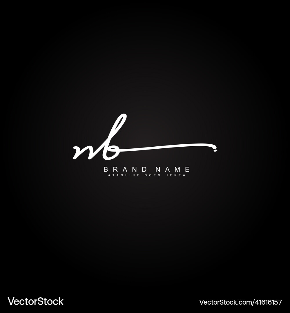 Initial letter nb logo - handwritten signature Vector Image