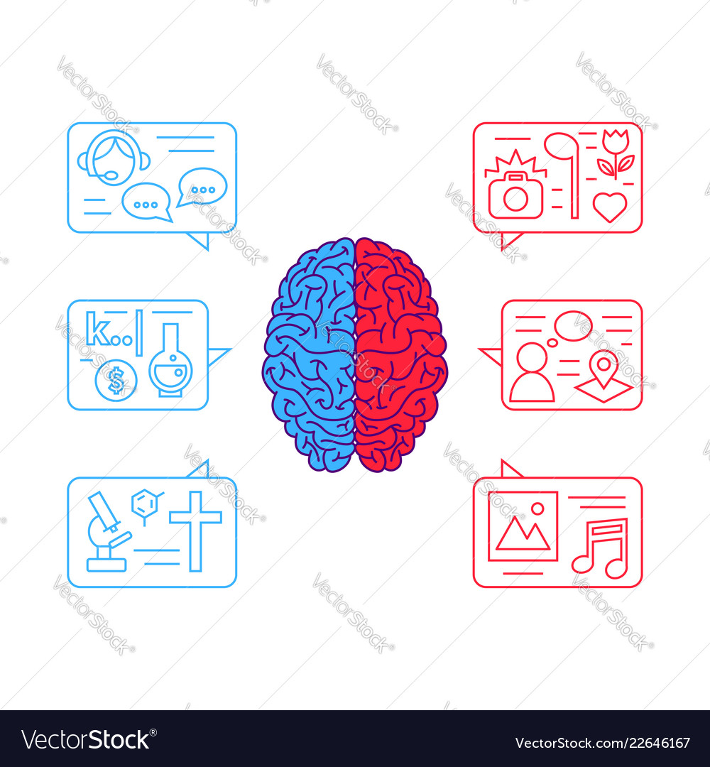 Human brain concept Royalty Free Vector Image - VectorStock