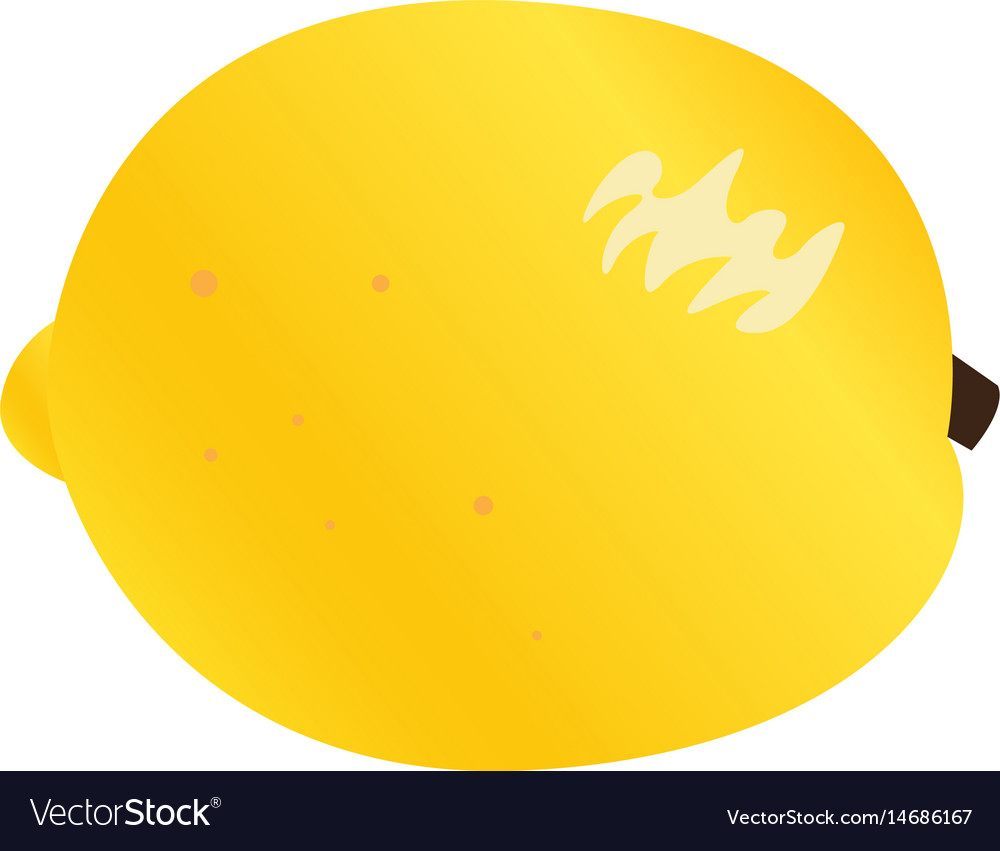 Isolated lime fruit Royalty Free Vector Image - VectorStock