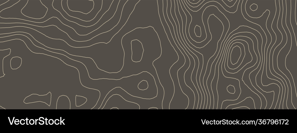 Contours topography geographic mountain Royalty Free Vector