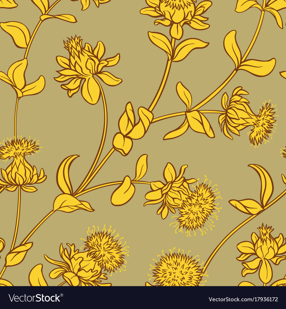 Safflower seamless pattern Royalty Free Vector Image