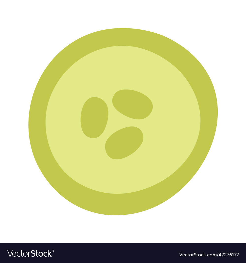 Cucumber vegetable slice Royalty Free Vector Image