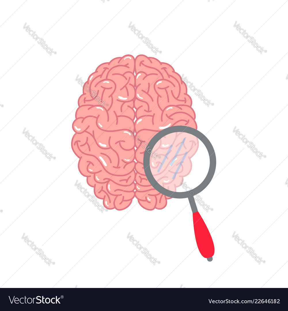 Brain test concept Royalty Free Vector Image - VectorStock