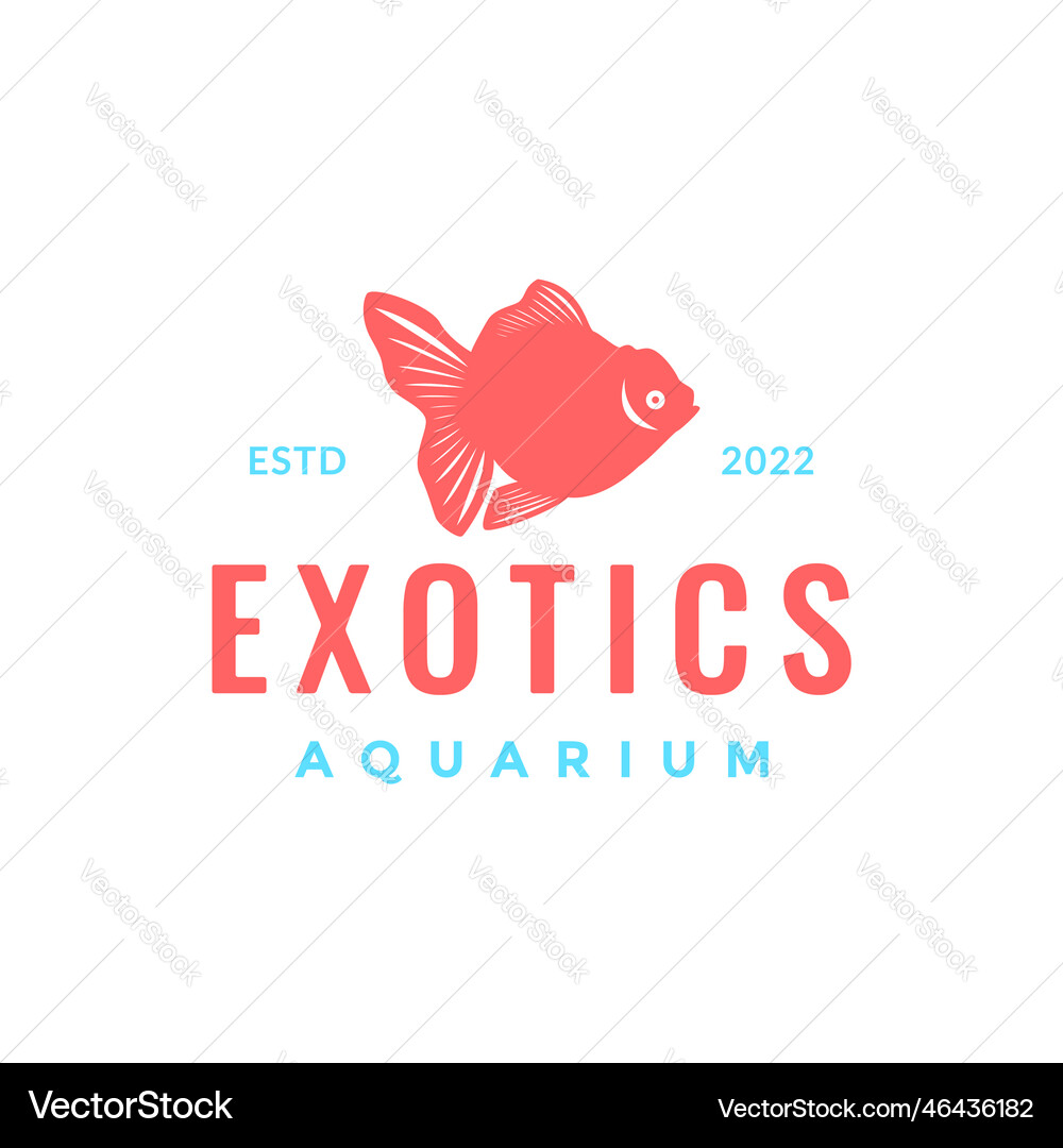 Chubby fat fish gold aquarium beautiful Royalty Free Vector