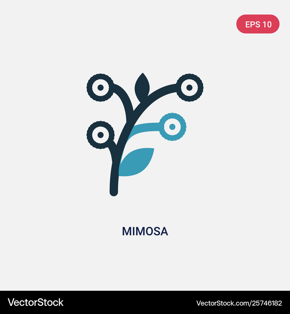 Two color mimosa icon from nature concept Vector Image