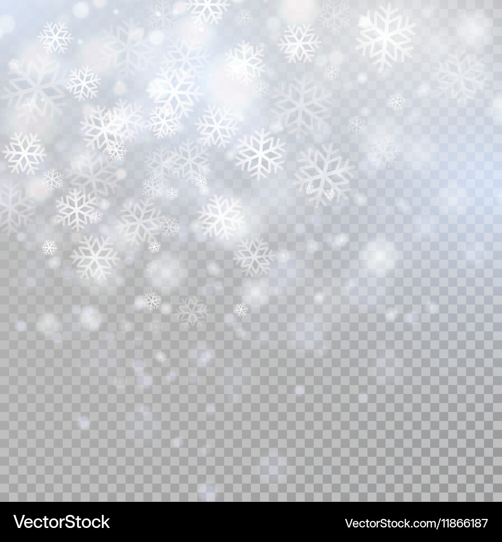 Bokeh light gray sparkles on transparency Vector Image