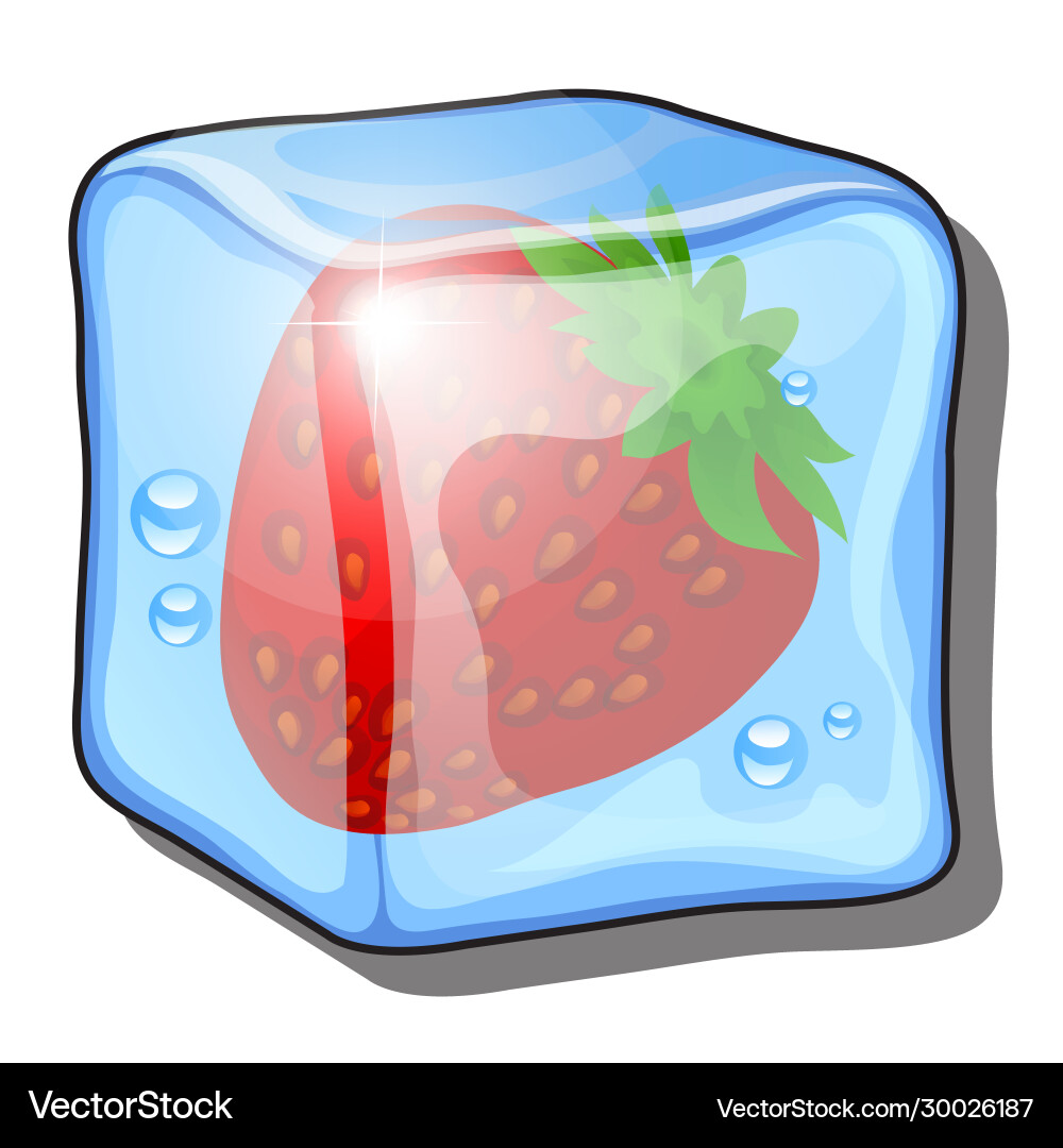 Frozen red berry strawberry isolated on white Vector Image
