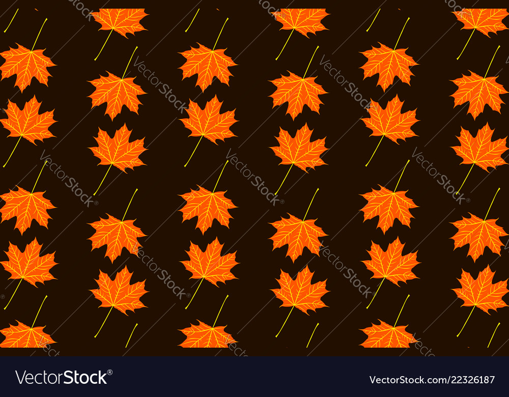 Maple leaf - background Royalty Free Vector Image